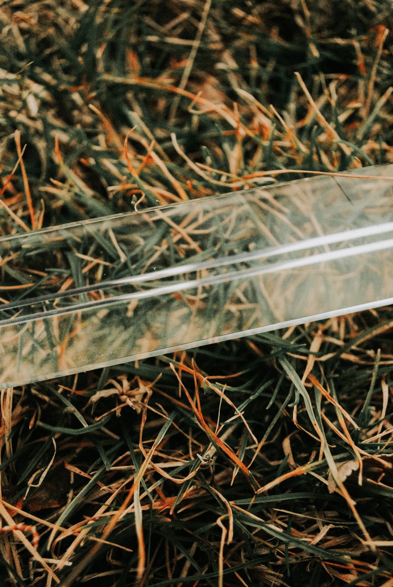 Stockdale Paradox – Elizabeth Beeli