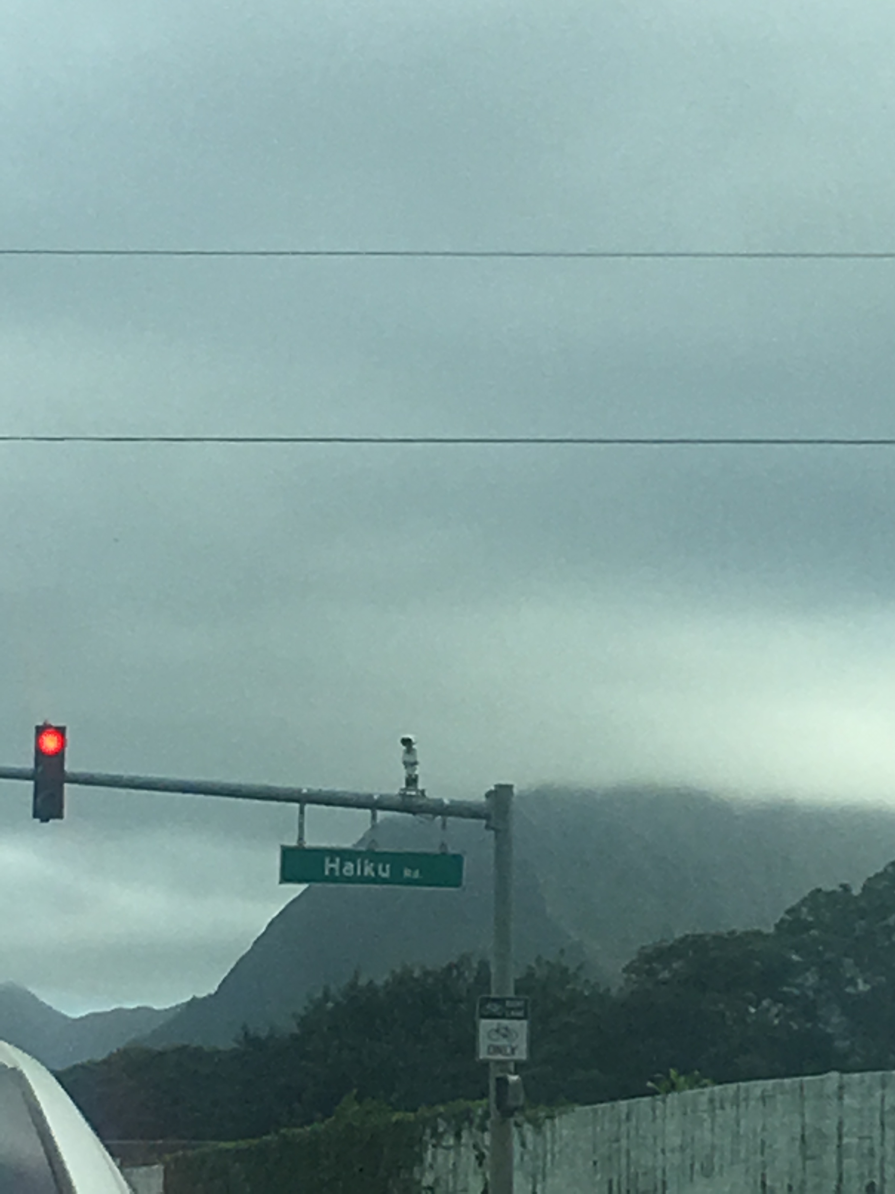 A Sign – Elizabeth Beeli