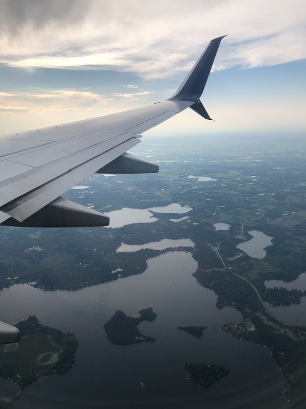 Looking For “New” – Elizabeth Beeli